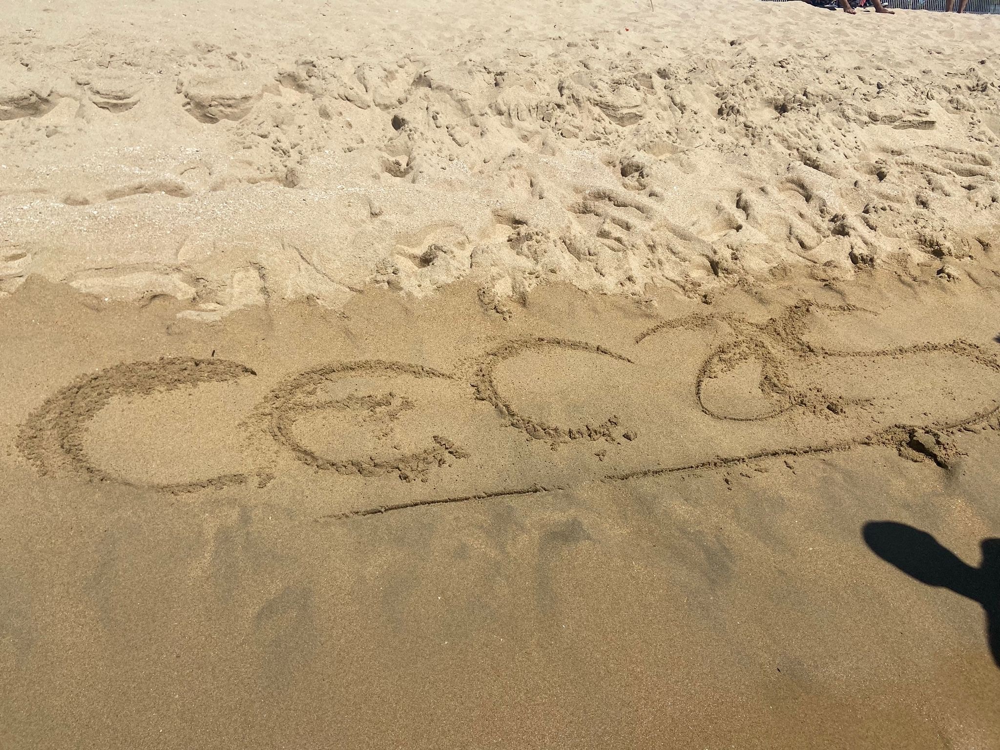 Home - Fundació Cecas